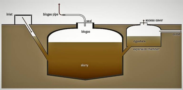 What is a Biodigester? 2 main reasons you should have it in your home