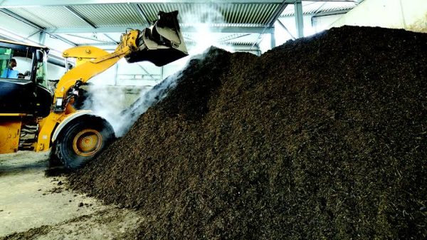 What is a Biodigester? 2 main reasons you should have it in your home